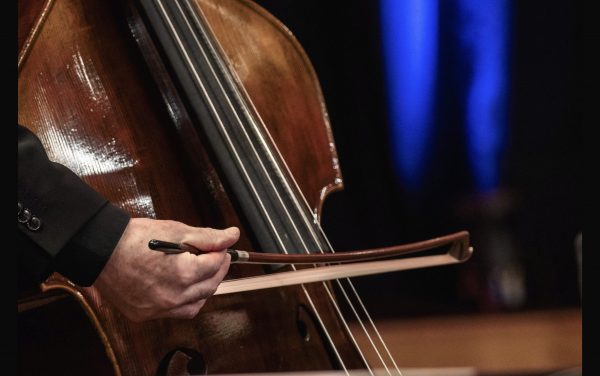 Discover Double Bass - John Goldsby